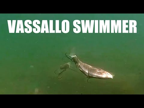 Vassallo Swimmer – CAST X BLAST